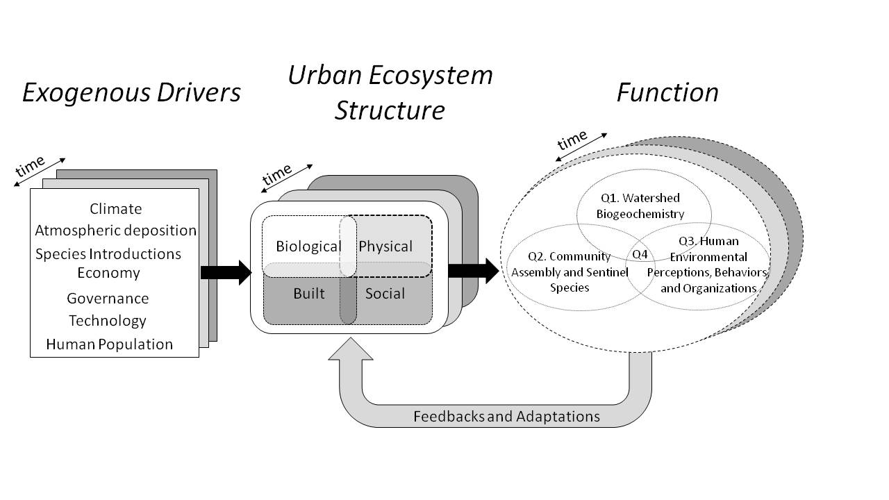 The Balto Brief: How Does a Long-Term Study Adjust Its Framework while ...