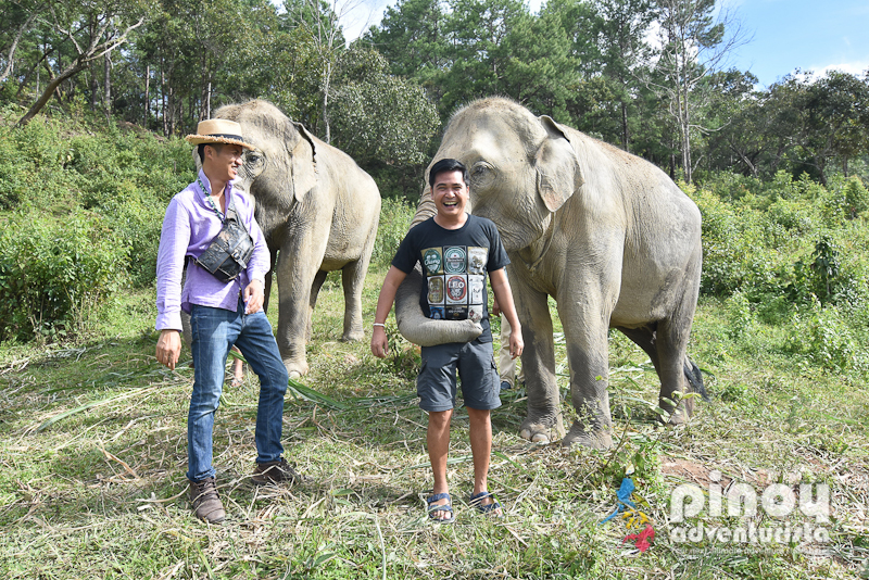 CHIANG MAI: Elephant Pride Sanctuary Experience in Thailand | Blogs ...