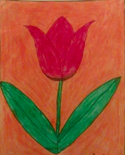 Visual Arts with Ms. Wine