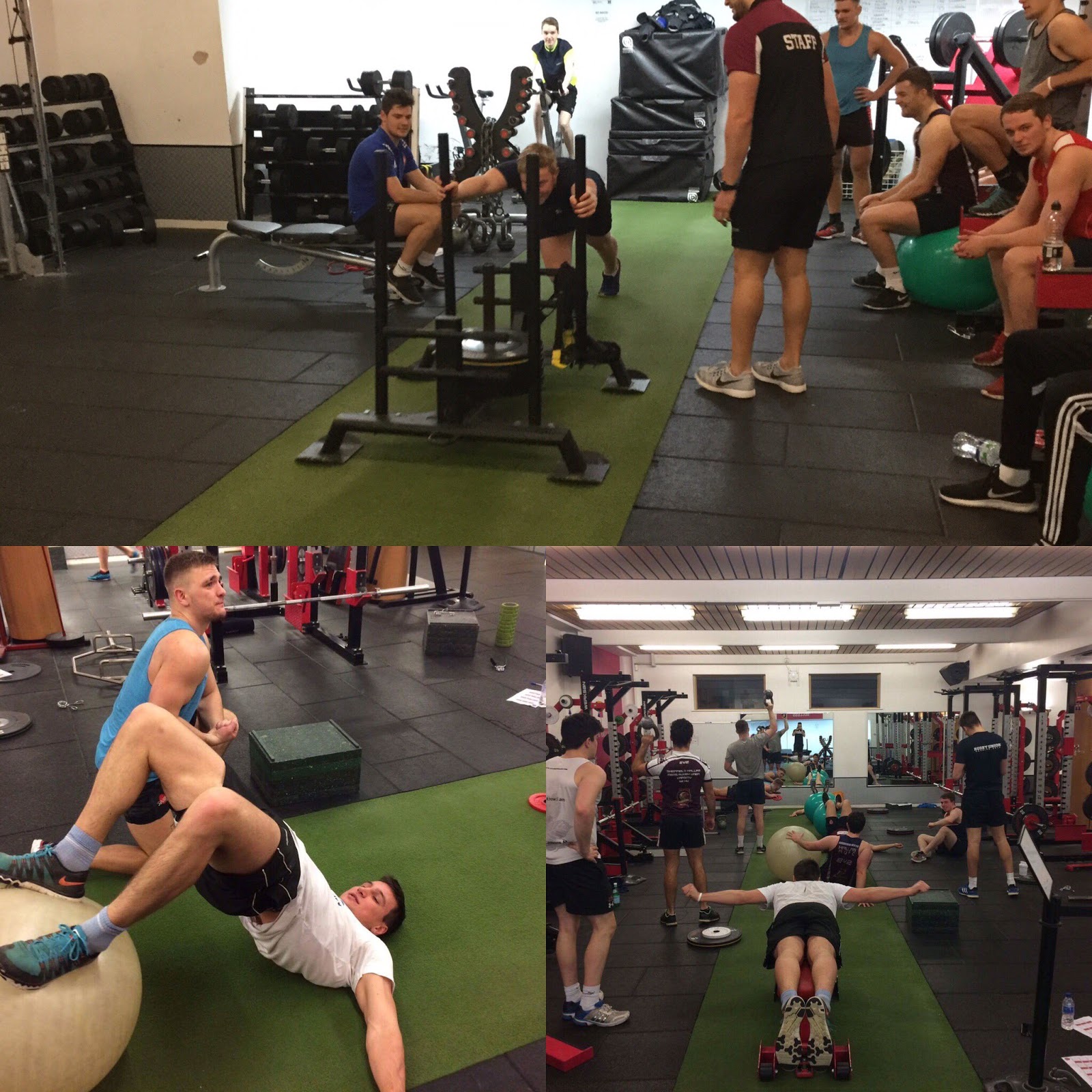 Team Hallam Strength & Conditioning: About Us