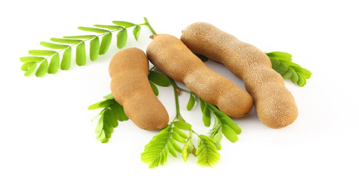 Alamat ng Sampalok - Filipino Blogger