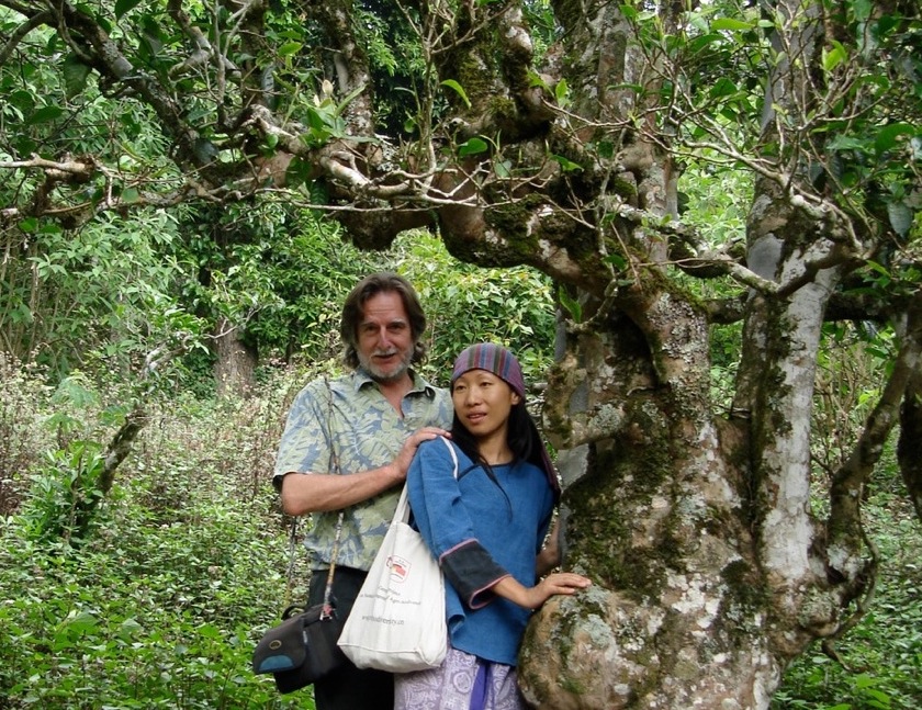 Soil and Environment: Rainforestation farming: concept and history ...