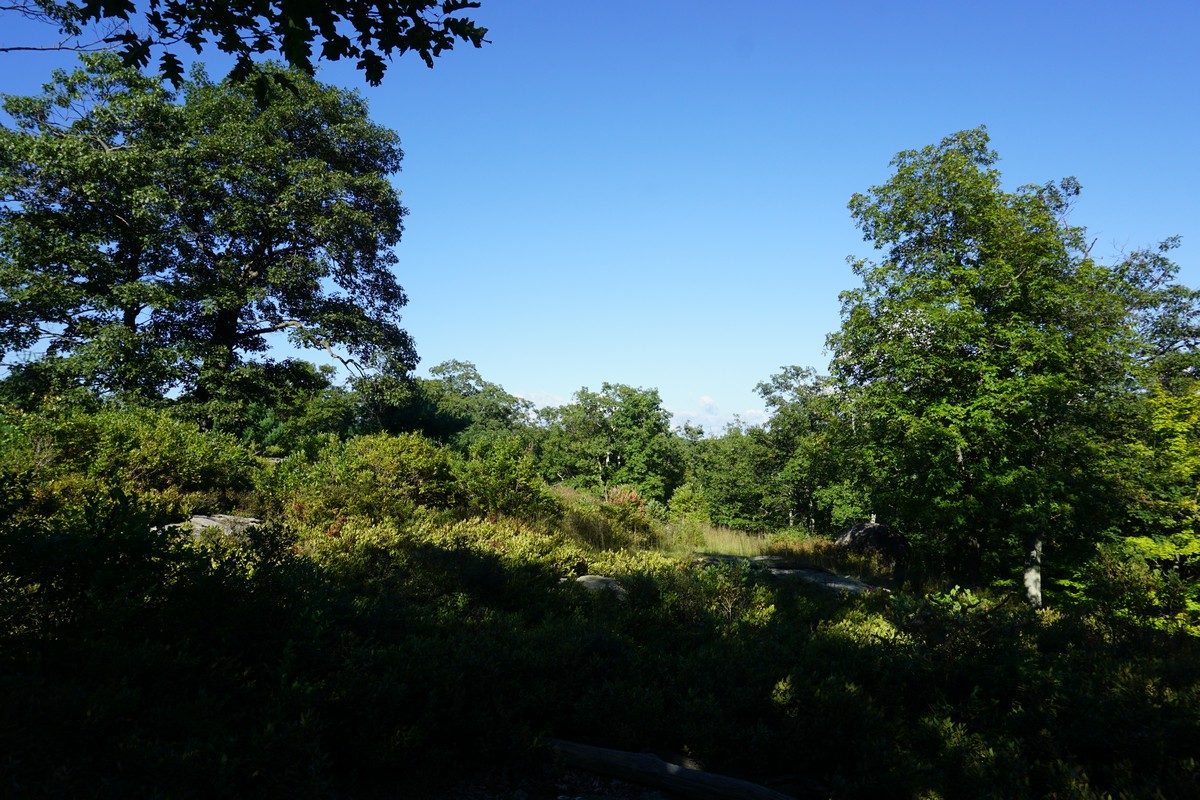 Harriman Hiker: Harriman State Park and Beyond: Pine Swamp Mine Loop
