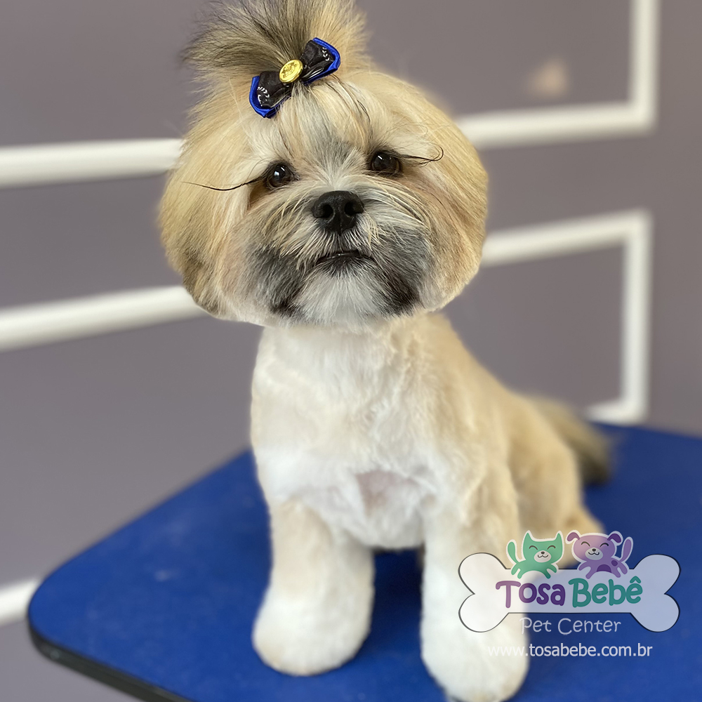 TOSA BEBÊ - TOSA VERÃO - TOSA TESOURA -TOSA PORTO ALEGRE