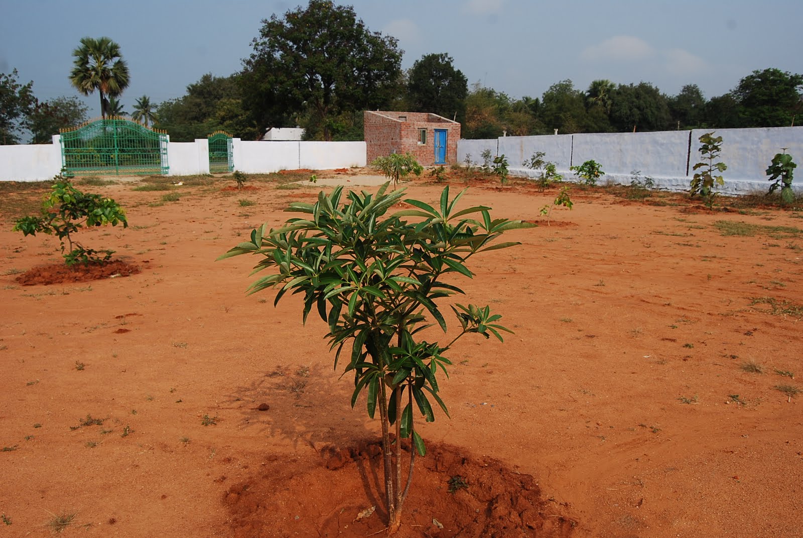 Suryapet Municipality: Initiatives of Suryapet Municipality