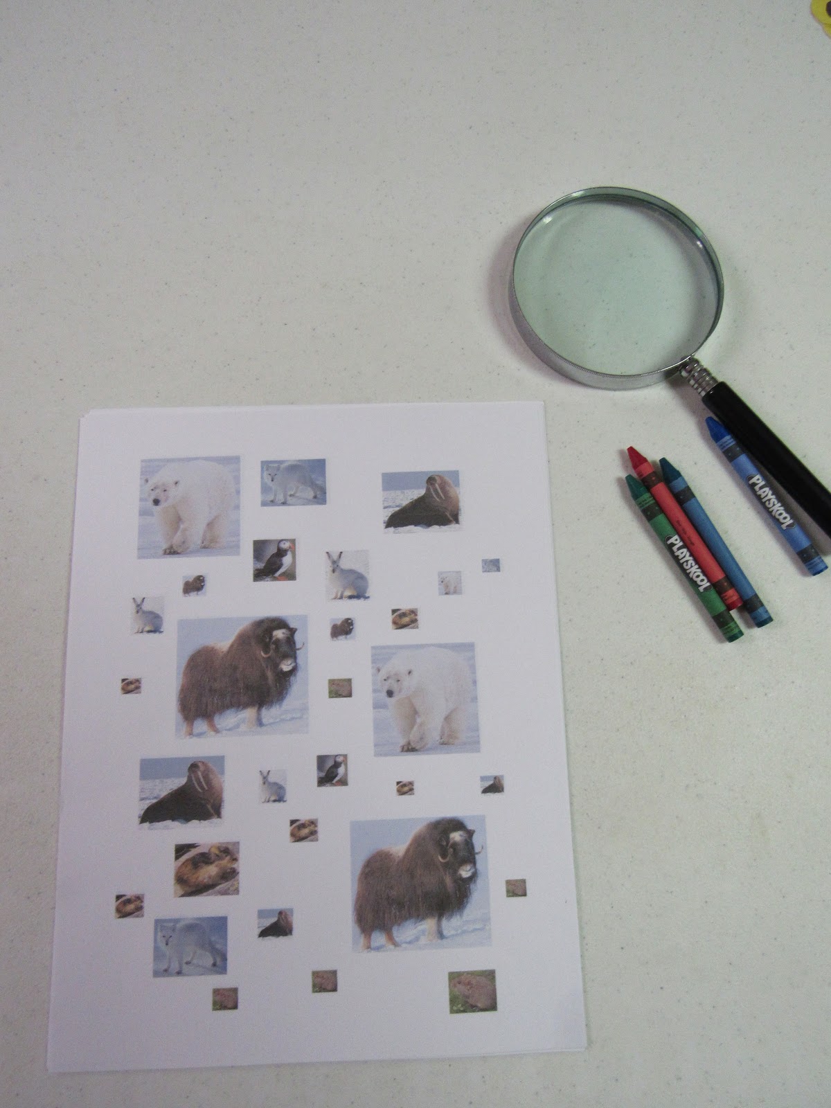 Tots and Me... Growing Up Together: Arctic Animal Fun: Snowy Owl Lesson