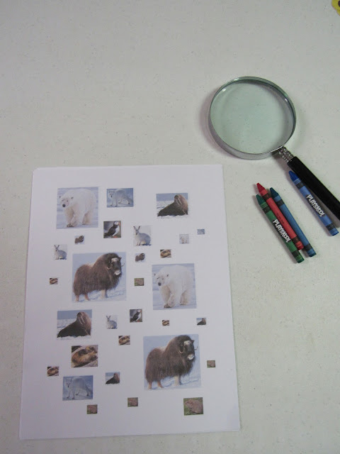 Tots and Me... Growing Up Together: Arctic Animal Fun: Snowy Owl Lesson