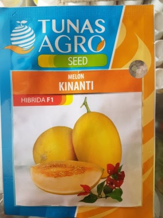 Toko Pertanian Terdekat | Lmga Agro: MELON KUNING TAK KALAH MANIS DAN ...