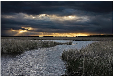Shane Rucker: Central Wisconsin Public Lands Portfolio