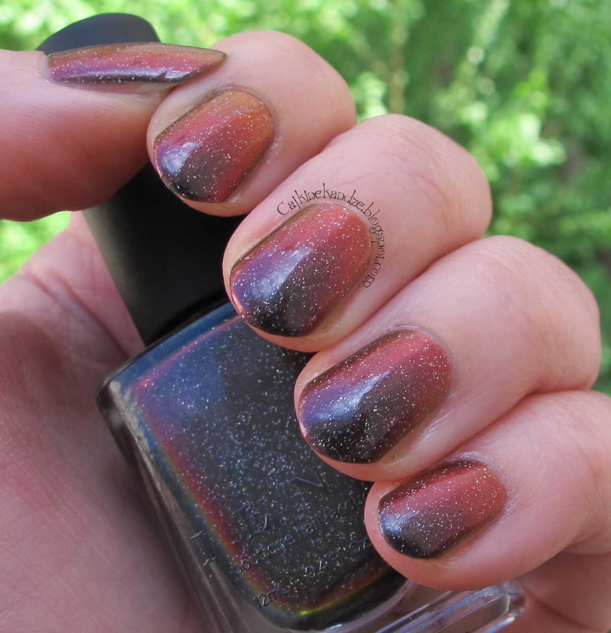 2021 | Cajkine kandže i sve njihove boje