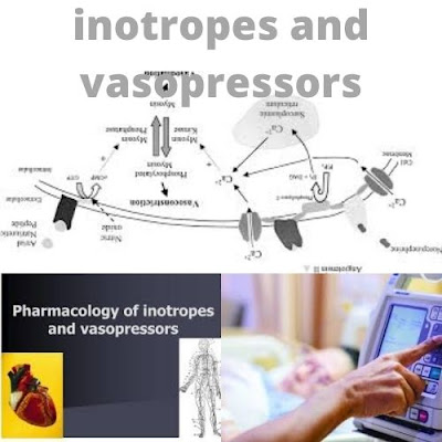 inotropes and vasopressors in ICU of Hospital - Education Web Blog