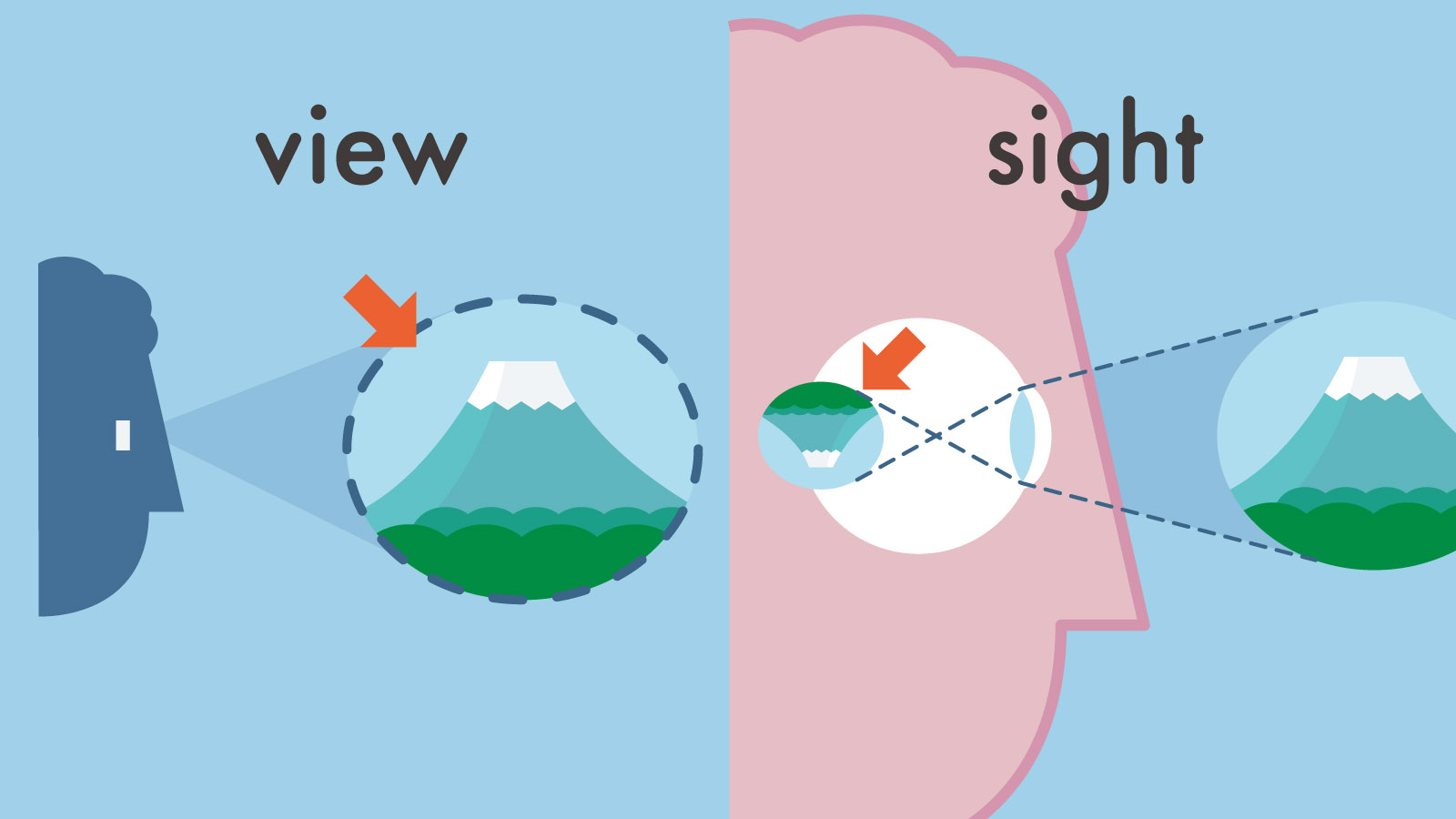 view と sight の違いとは？