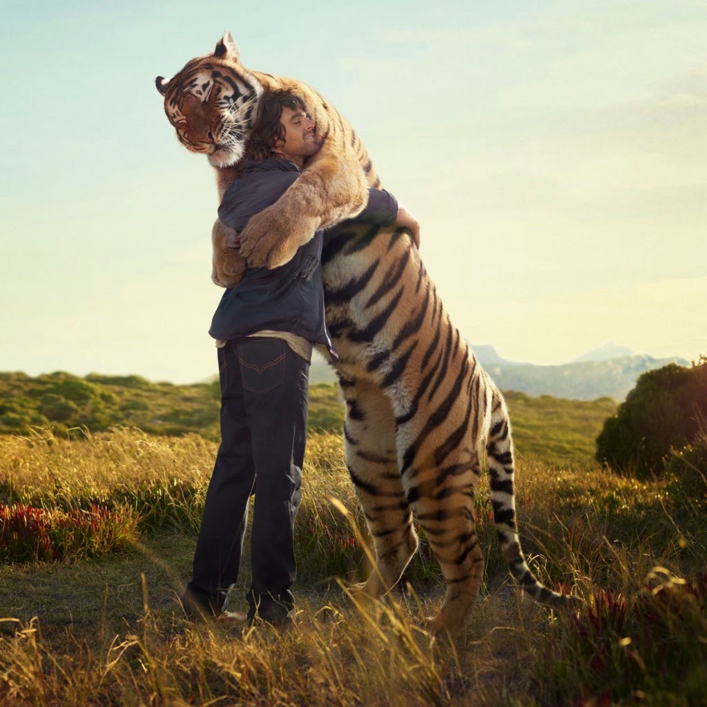 Animal wallpaper, Man hug, Animals