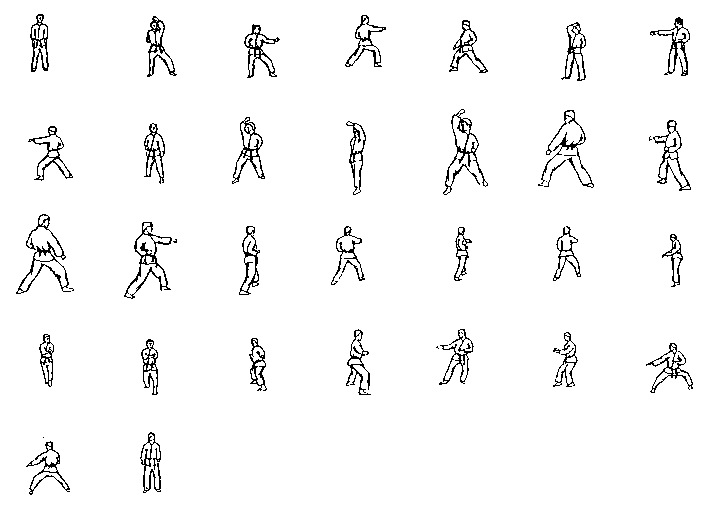 Martial Arts Kata Steps at Jill Deleon blog