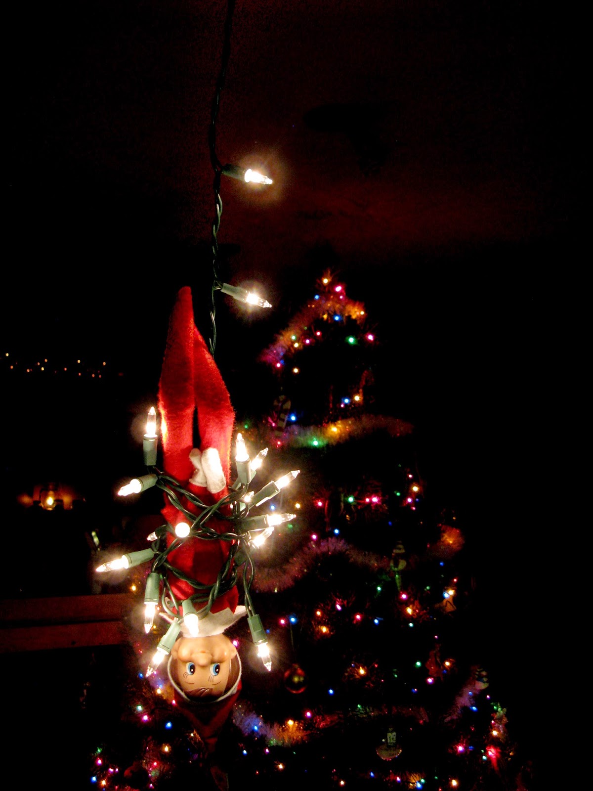 Sam and Ginger Rock!: Bungee Jumping Elf...