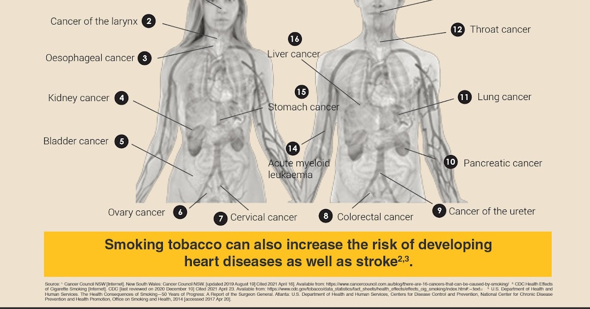 National Cancer Society of Malaysia, Penang Branch: Smoking Is ...