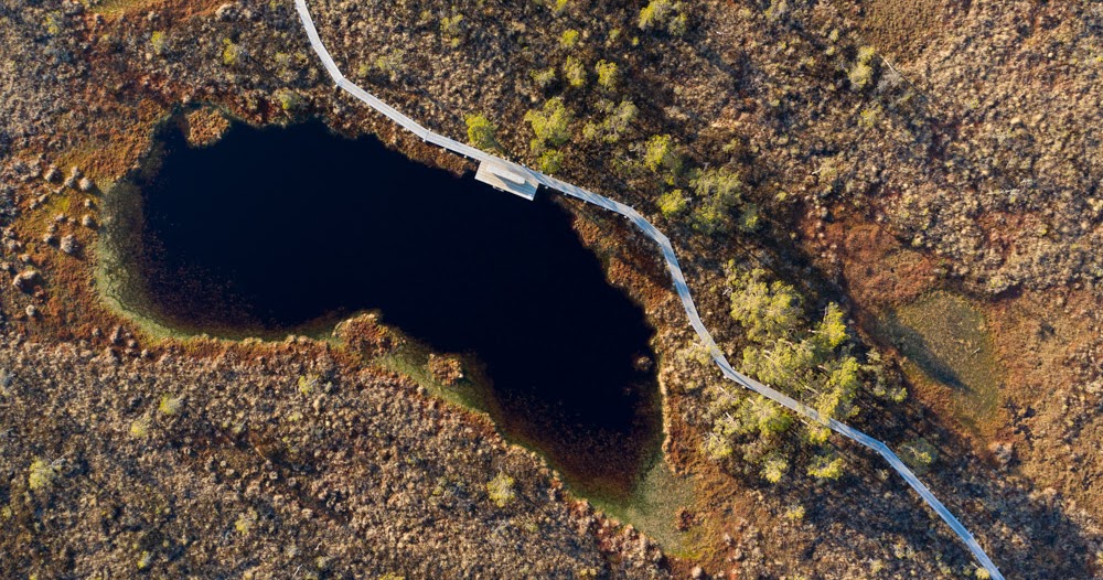 - Paranull -: Riisa raba matkarada.