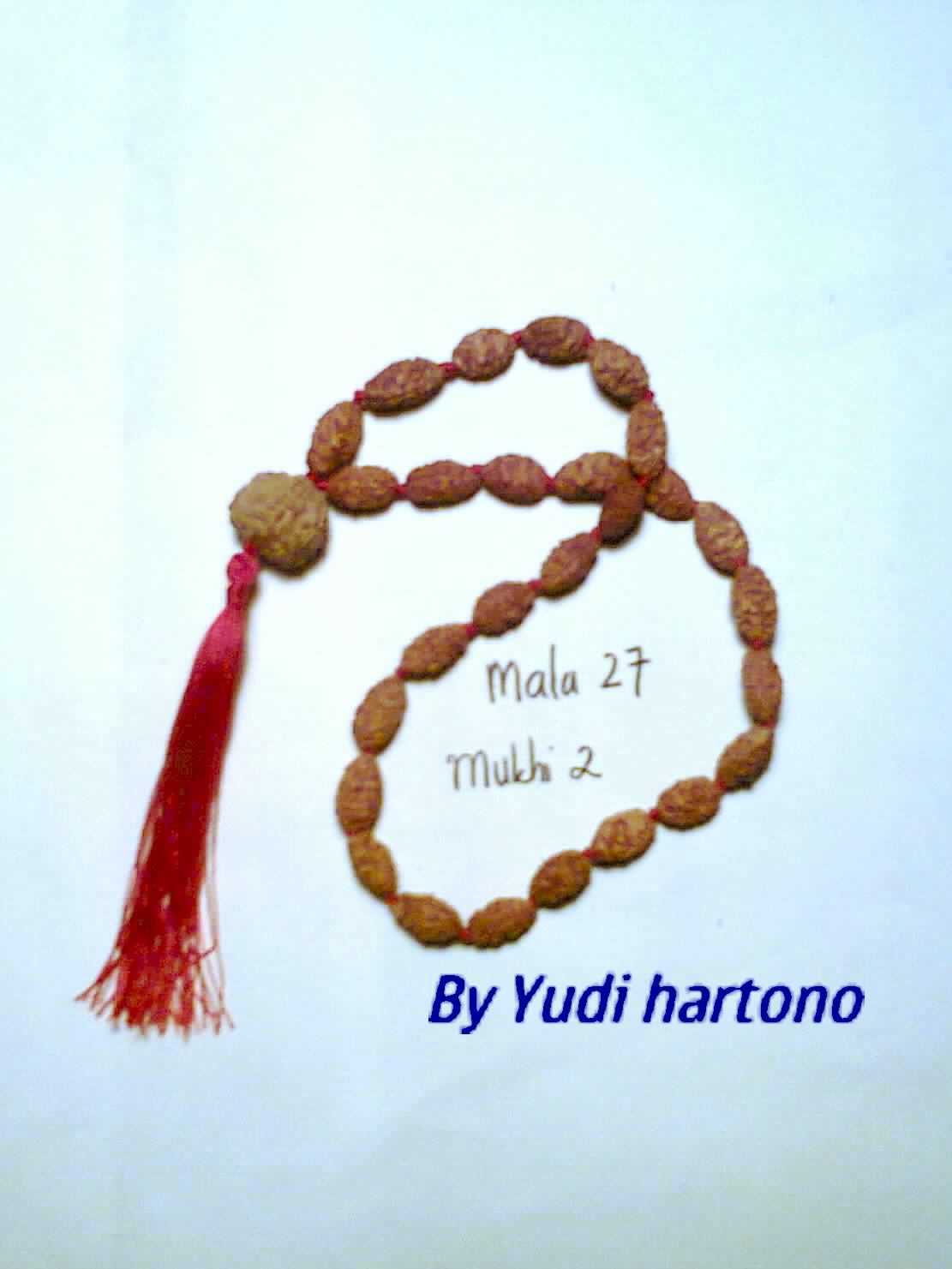 Informasi biji Ganitri / Rudraksha / Jenistri