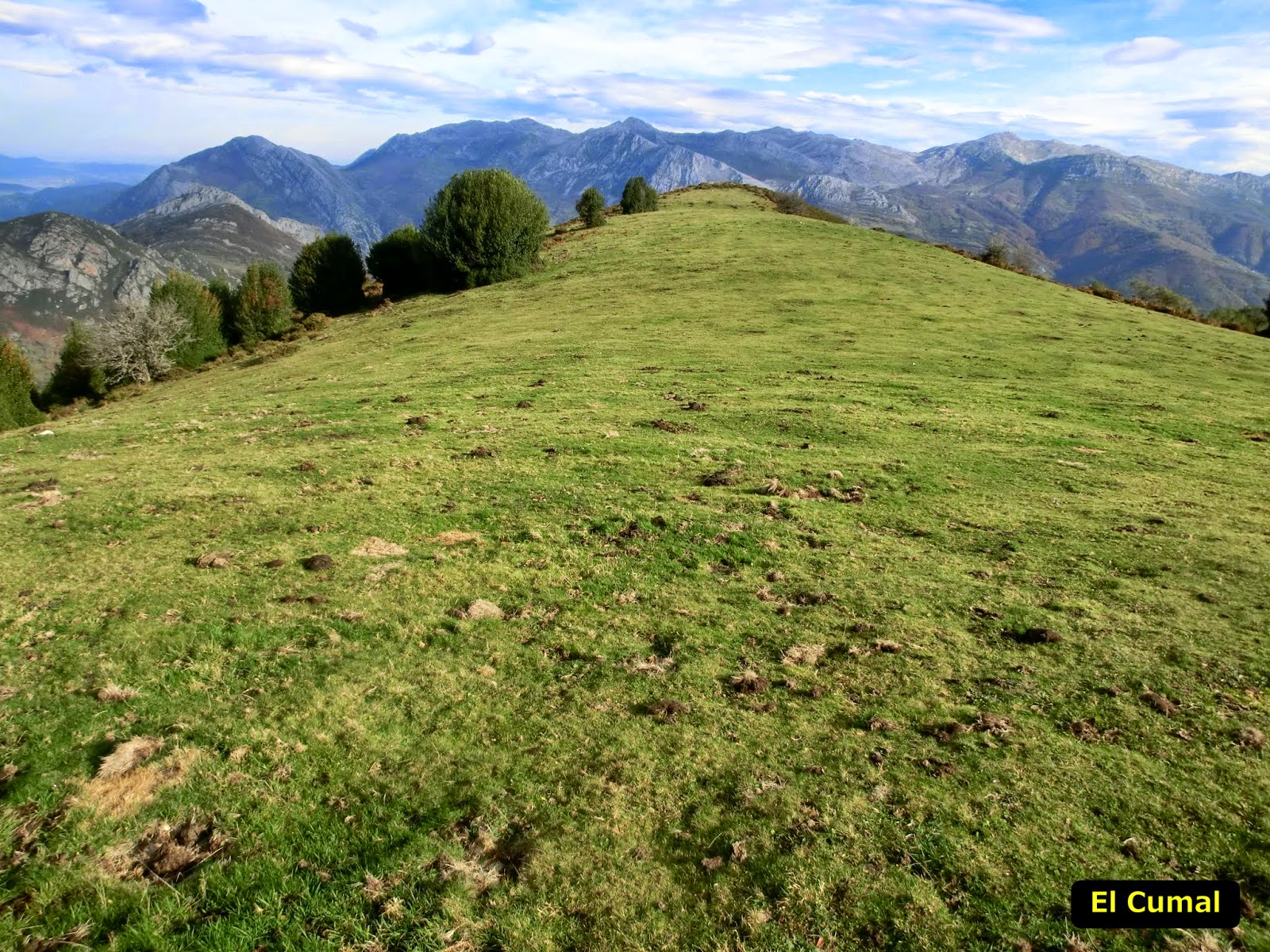 Pindio, pindio: noviembre 2014