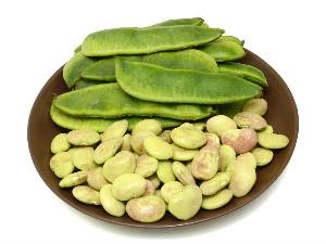 Medicinal uses and benefits of field beans