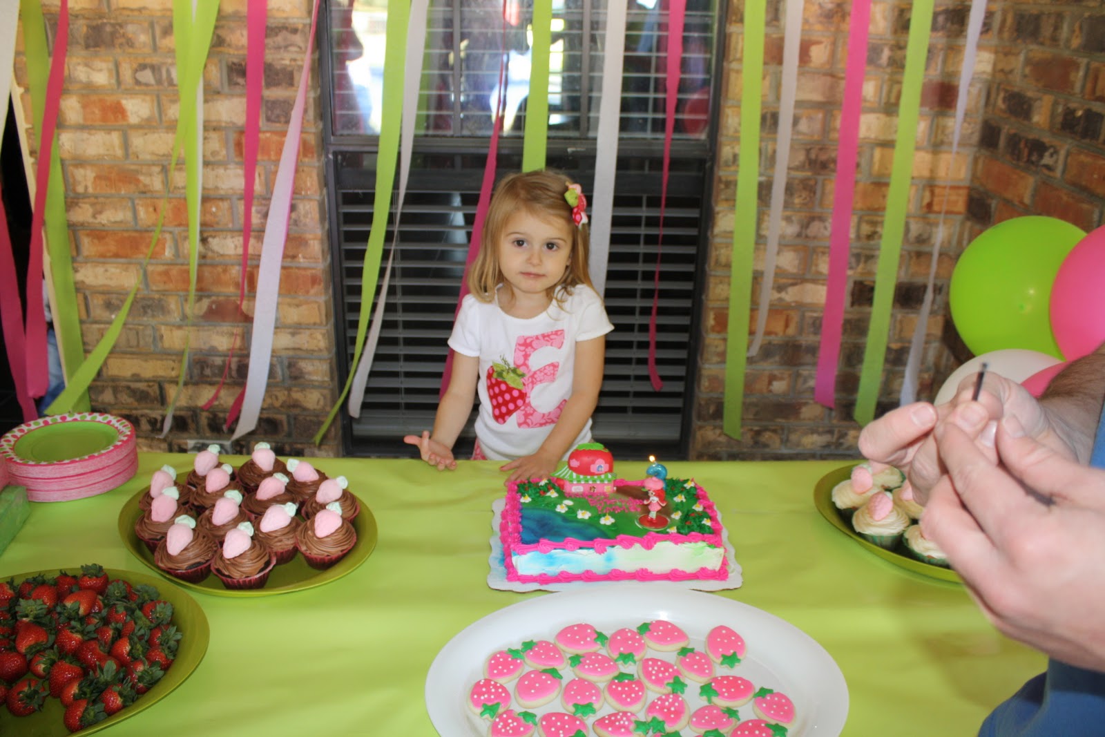 Life with Emma: Emma's 3rd Birthday Party!