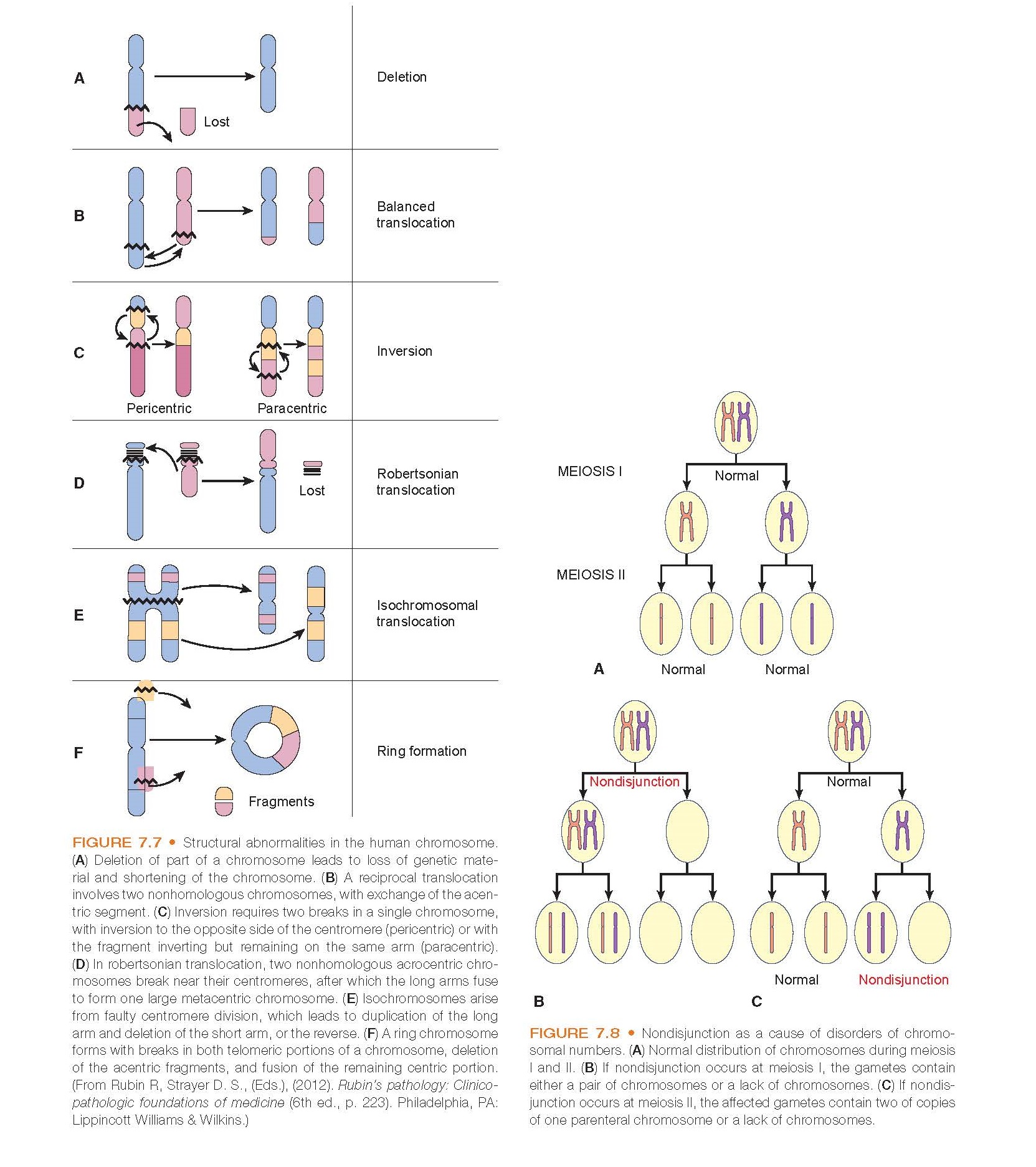 Chromosomal Disorders - pediagenosis
