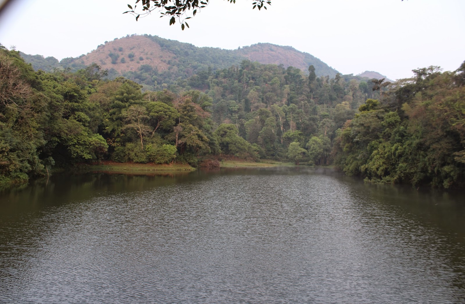 JJ'S TRAVEL TRACK: Coorg : One day visit to ' Scotland of india