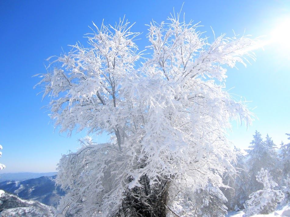 ΟΤΑΝ Η ΦΥΣΗ ΖΩΓΡΑΦΙΖΕΙ - testSFIKA