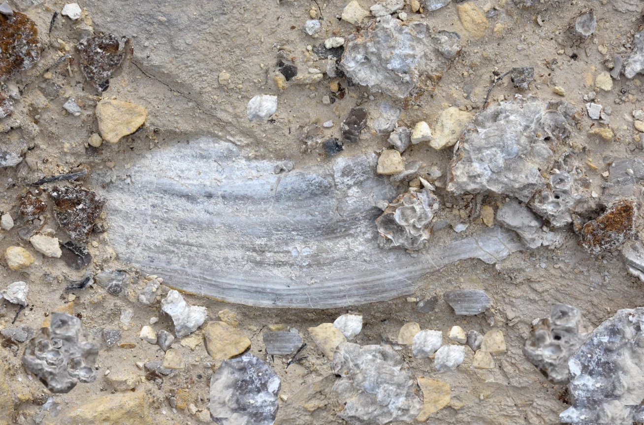 NephiCode: Darwin and How We Know Where Lehi Landed – Part I