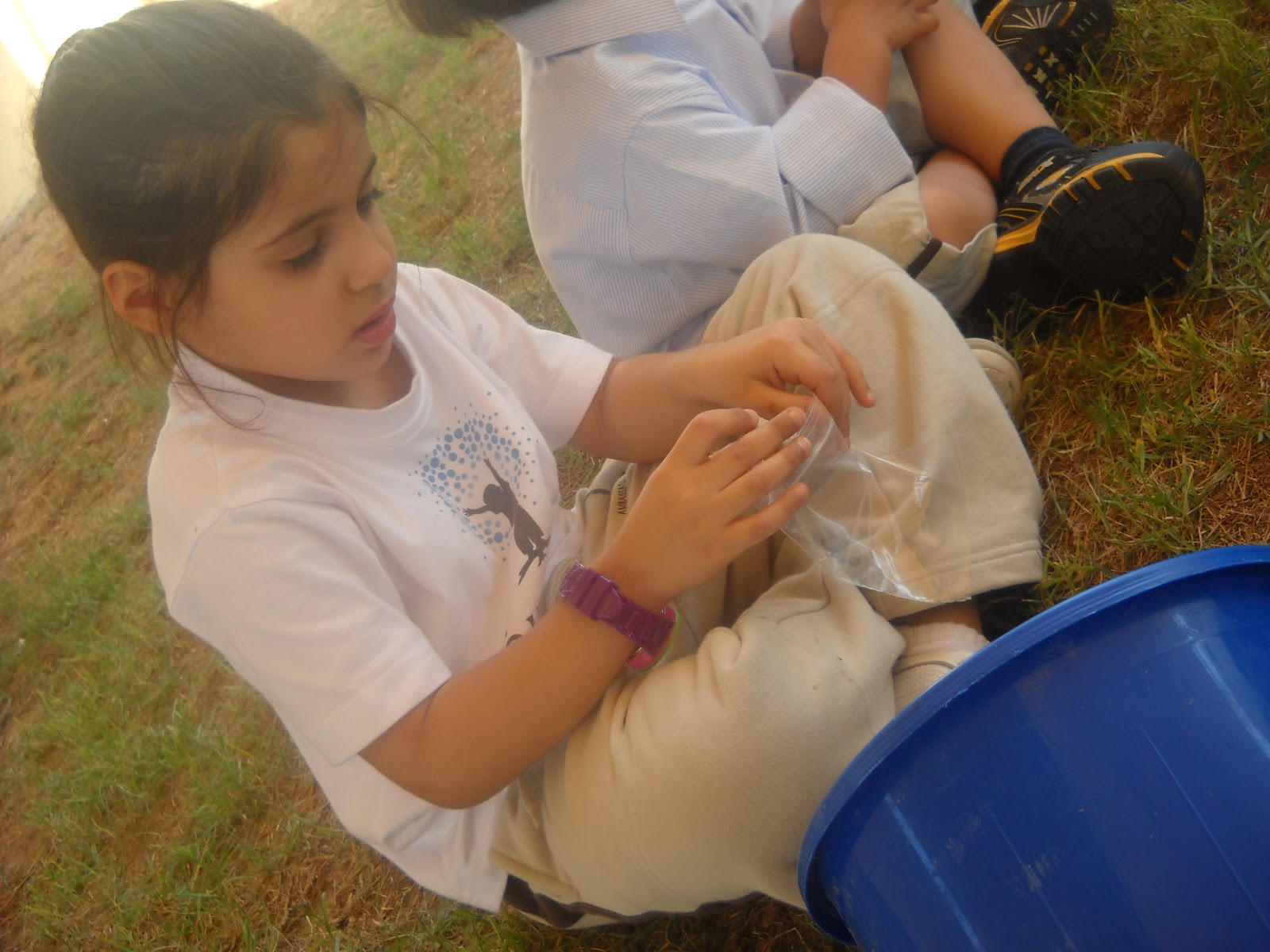 Children Learn Best in their Freeplay: NATURE - SORTING ACTIVITY