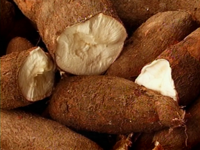 Cantinho Vegetariano: Mandioca