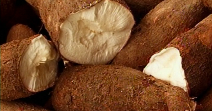 Cantinho Vegetariano: Mandioca