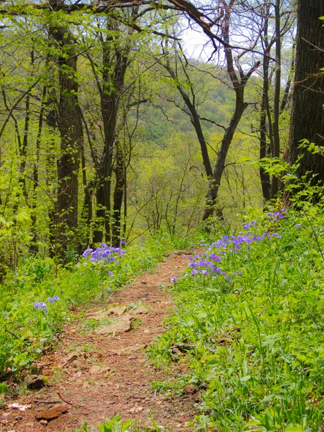 Driftless for a Day - Hiking Wyalusing State Park