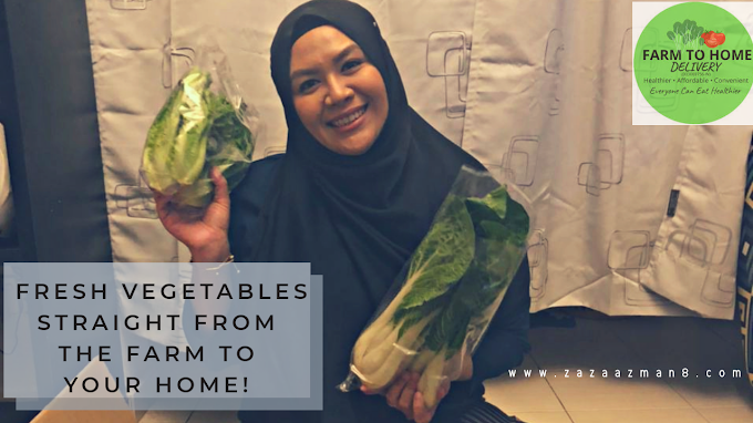 FARM TO HOME DELIVERY - SUPPLIES FRESH VEGETABLES FROM FARM TO YOUR ...