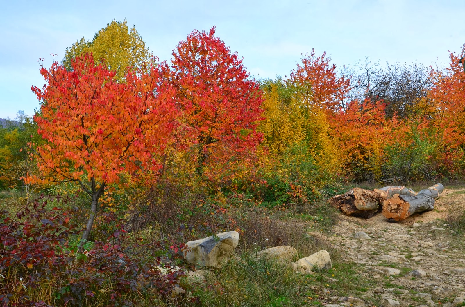 TUDOR PHOTO BLOG: Toamna in Maramures,Autumn in Maramures,Romania,Europe