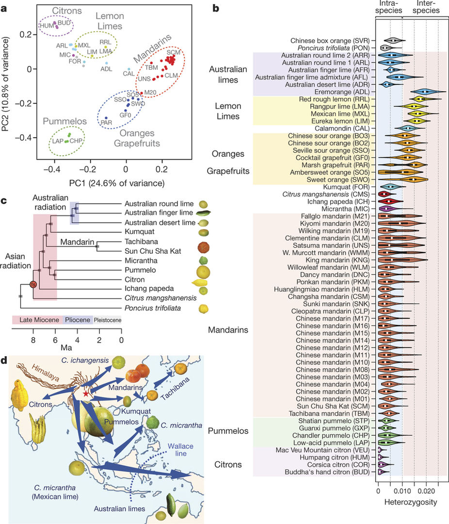 Species New to Science: [Botany • 2018] Genomics of the Origin and ...