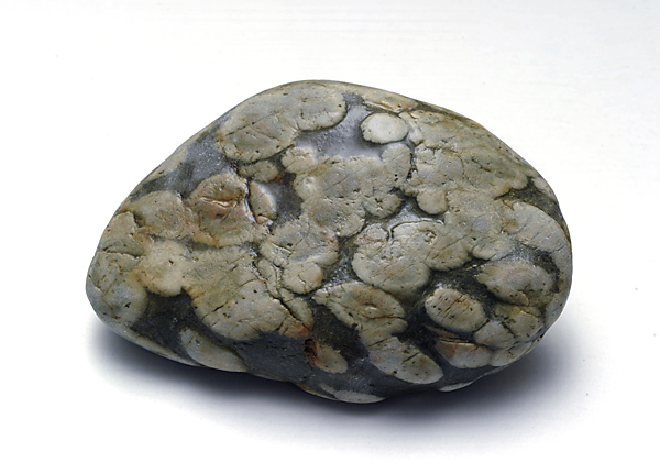 ROCKHUNTER NORTHWEST: Mystery Solved... "Variolites"