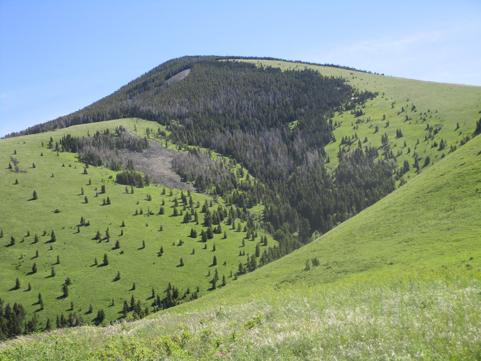 Out there with Tom: Backcountry season is upon us: Highwood Baldy, Ford ...