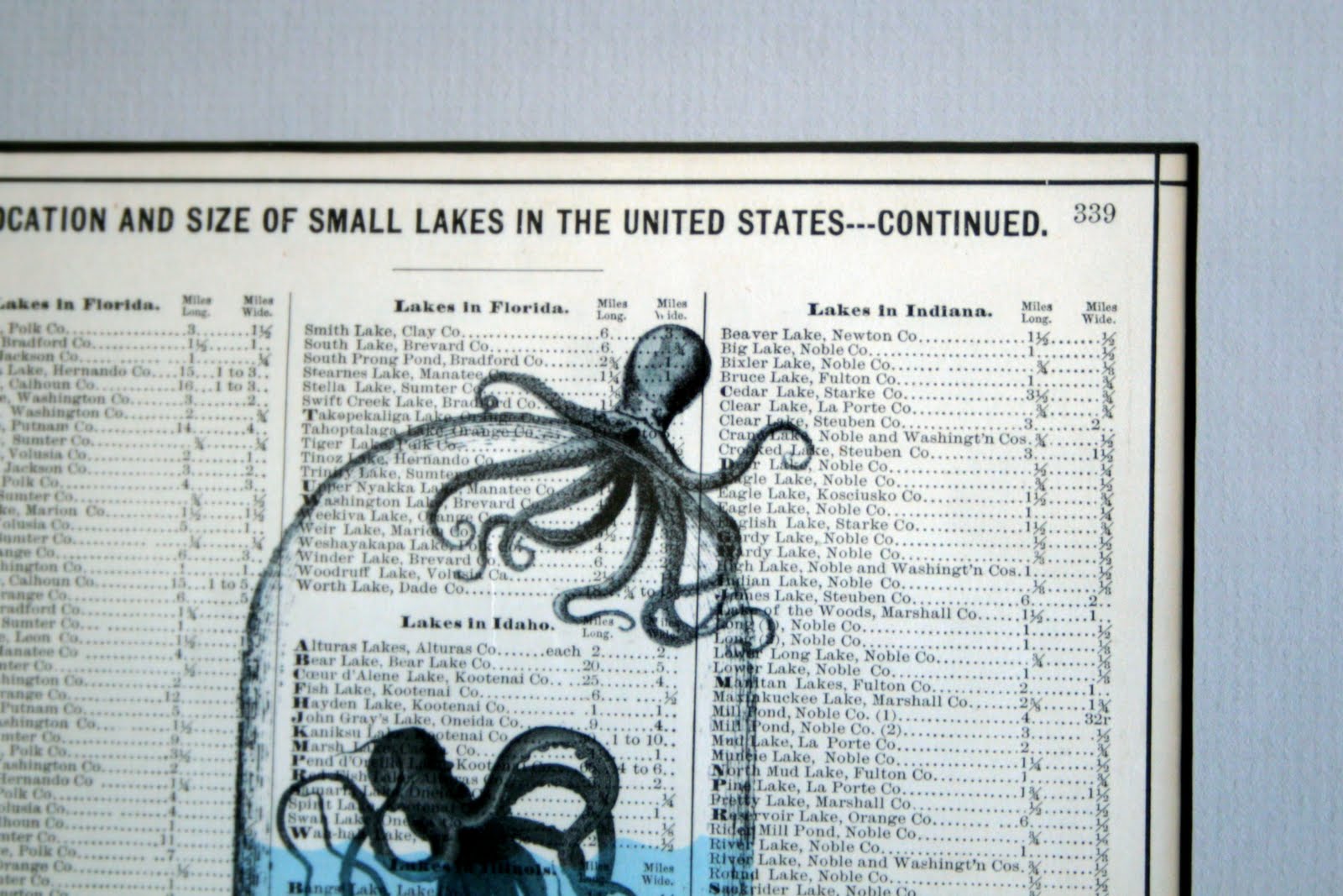 insideways: Pretty Small Things: octopus print