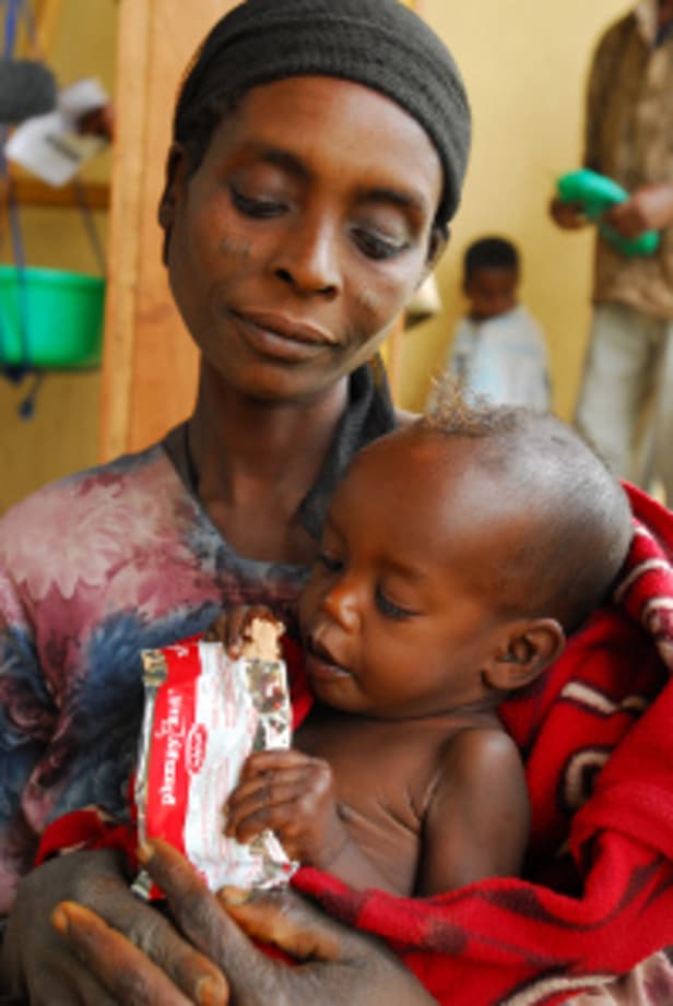 Bacterias Actuaciencia: noviembre 2016