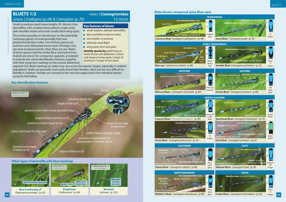 The Curious Naturalist: Europe's Dragonflies: A field guide to the ...