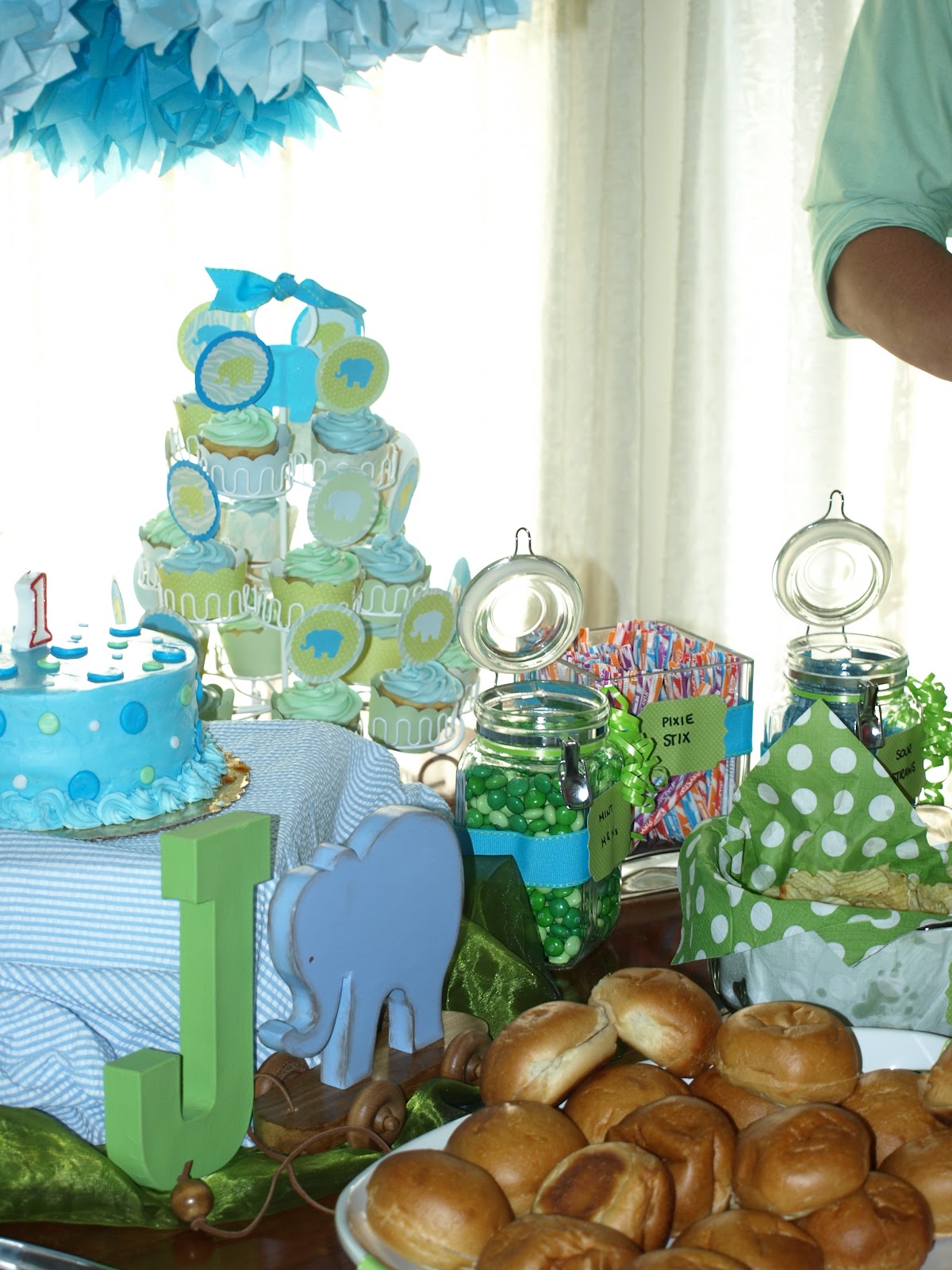 The Craig Family Logbook: Jacob's Birthday Party~