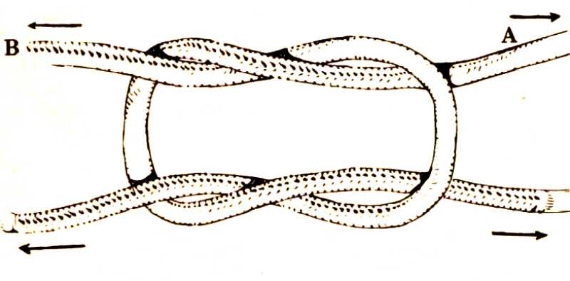 PENGAKAP SK SUNGAI SUGAI: ASAS IKATAN