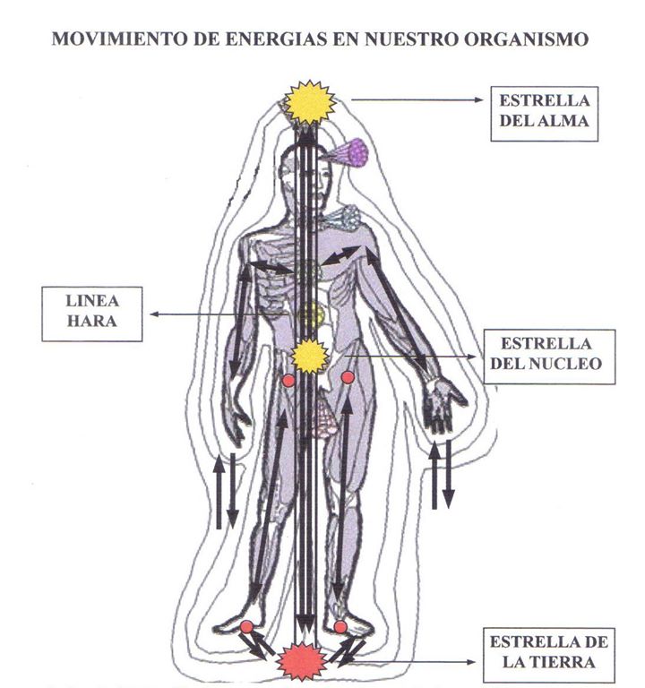 KINÉE - Sanación Energética: LA ESTRELLA DE LA TIERRA