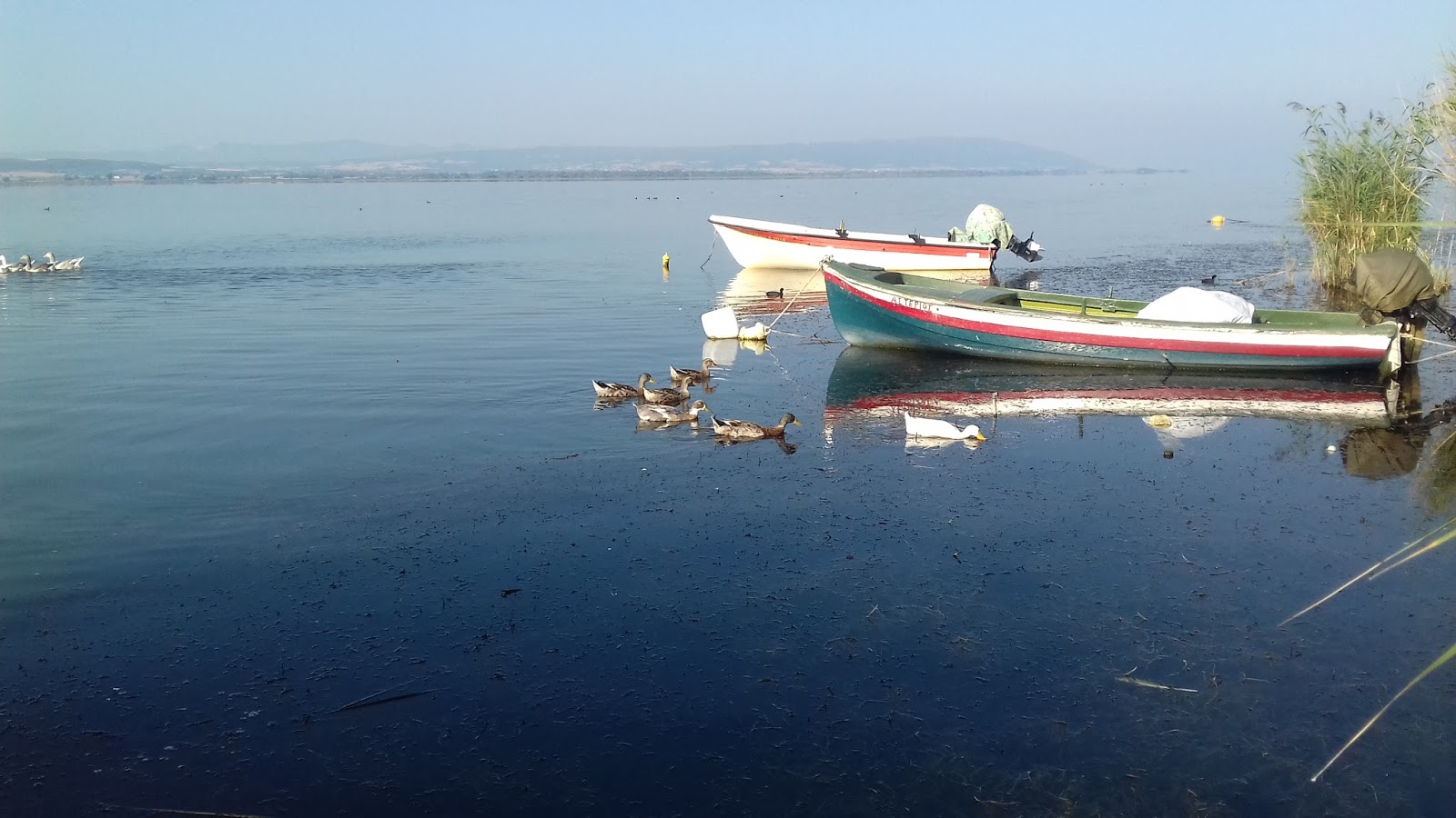 Float Fishing and not only, in Greece.: Λίμνη Βόλβη, ψαρέματα και ...