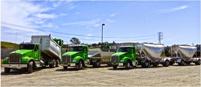 Construction Industry Innovation: Competitive, Cost-efficient ...