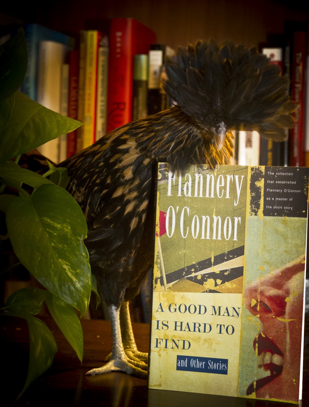 Chicken Women: Famous Author's Backward Walking Chicken