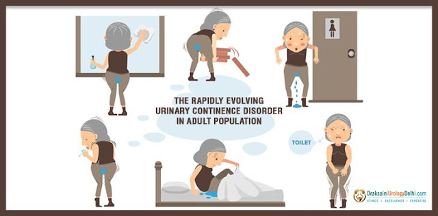 The Rapidly Evolving Urinary Continence Disorder In Adult Population