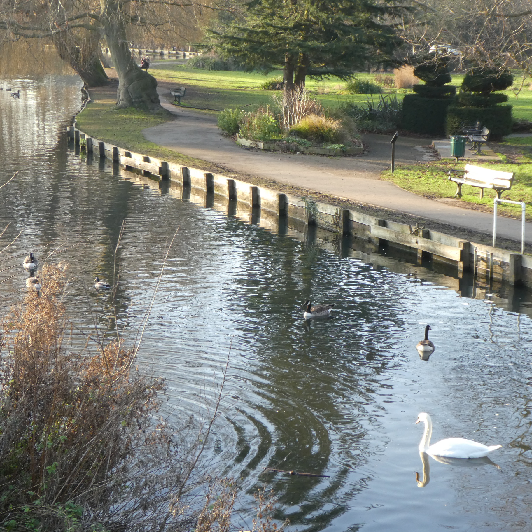 Jane's Journal: First signs of spring with Country View challenges