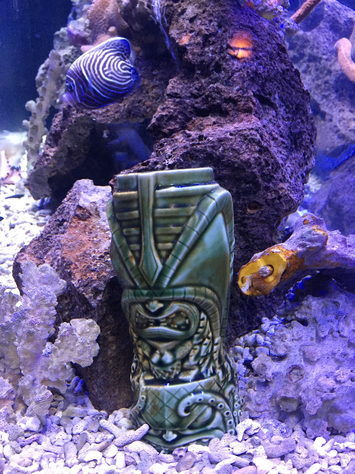 Joe's Tiki Hideaway: Pagan Idol - Fish Tank